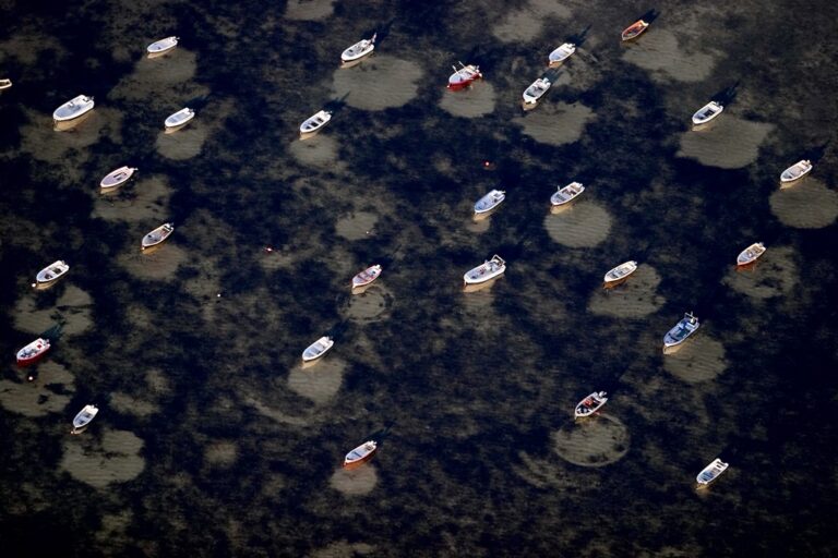 The Environment - Seaflex