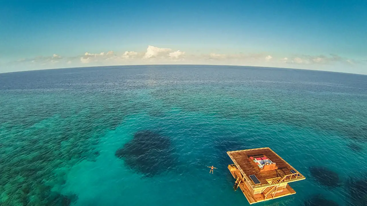 A new vision for Seaflex - Seaflex